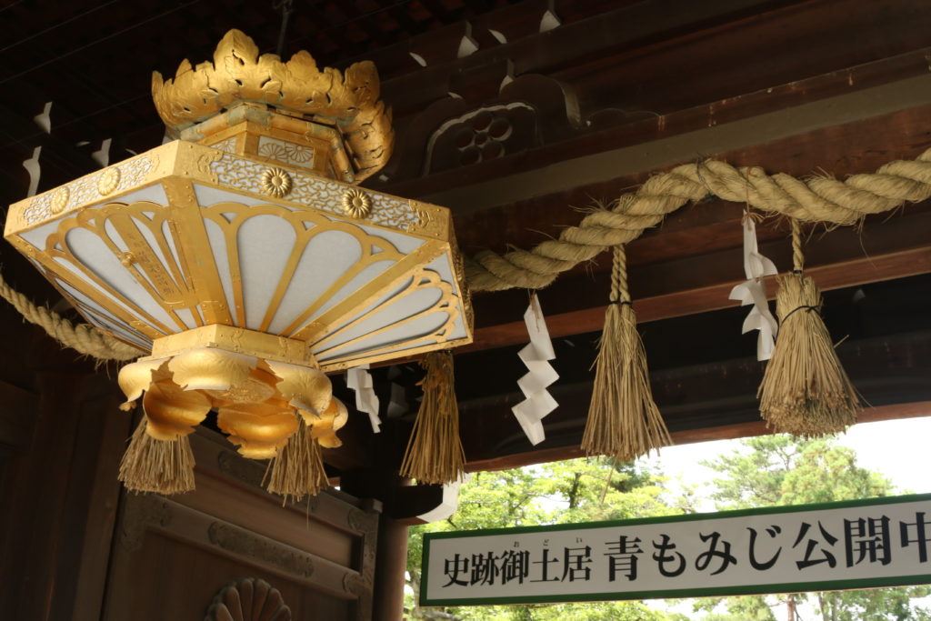 Travel tips to Japan : TPTS 2026